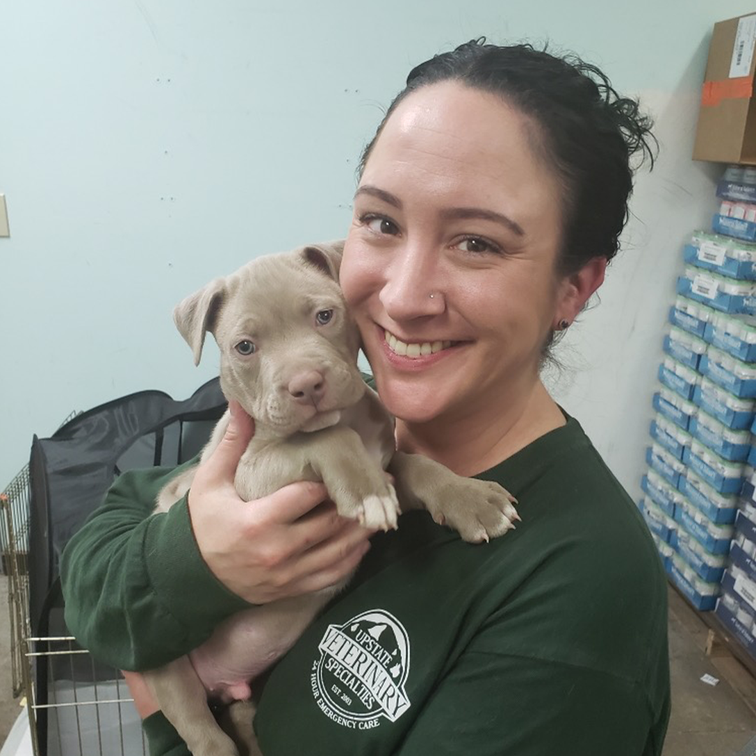 ABOUT US – Out of the Pits – and into your hearts! | Pit Bull Dog ...